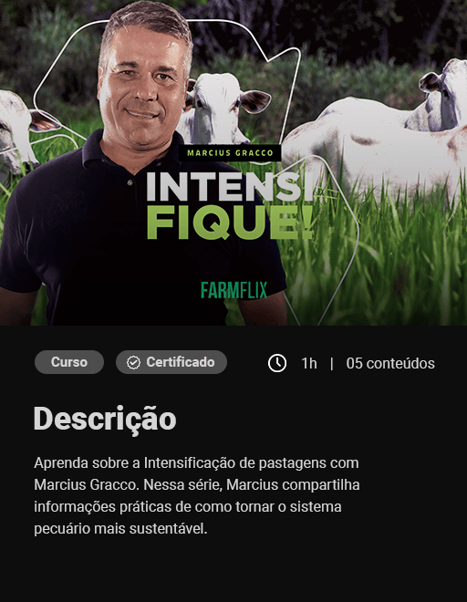 FarmFlix | A Netflix do Agro