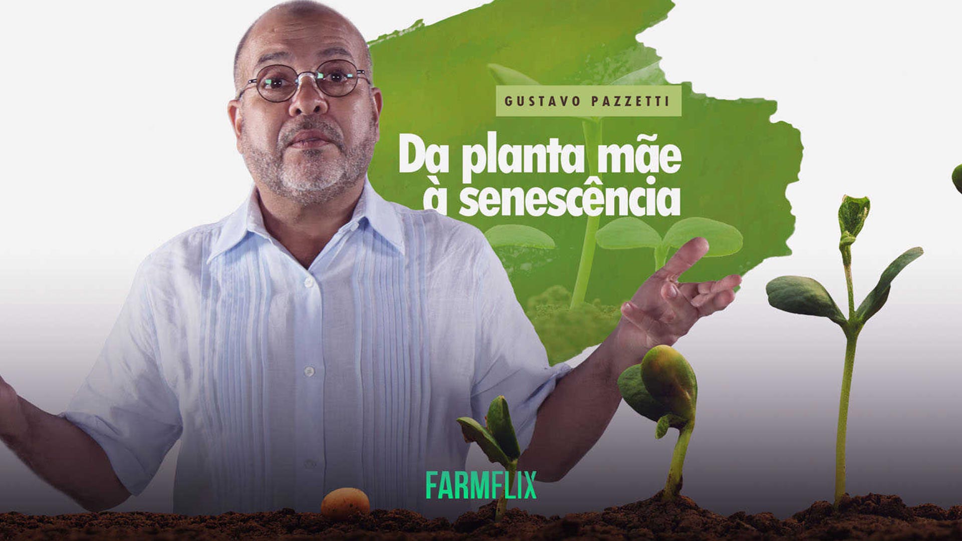 Curso sobre ecofisiologia da cultura da soja | Online com Certificado ...